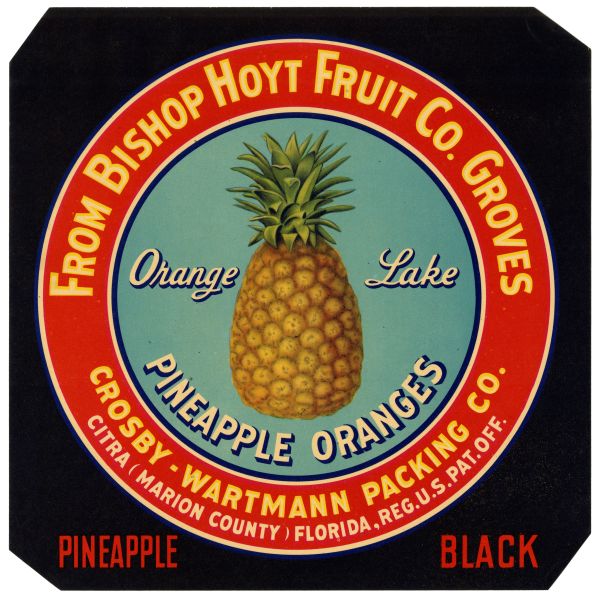 Florida Memory • Label for Orange Lake Pineapple Oranges - Black
