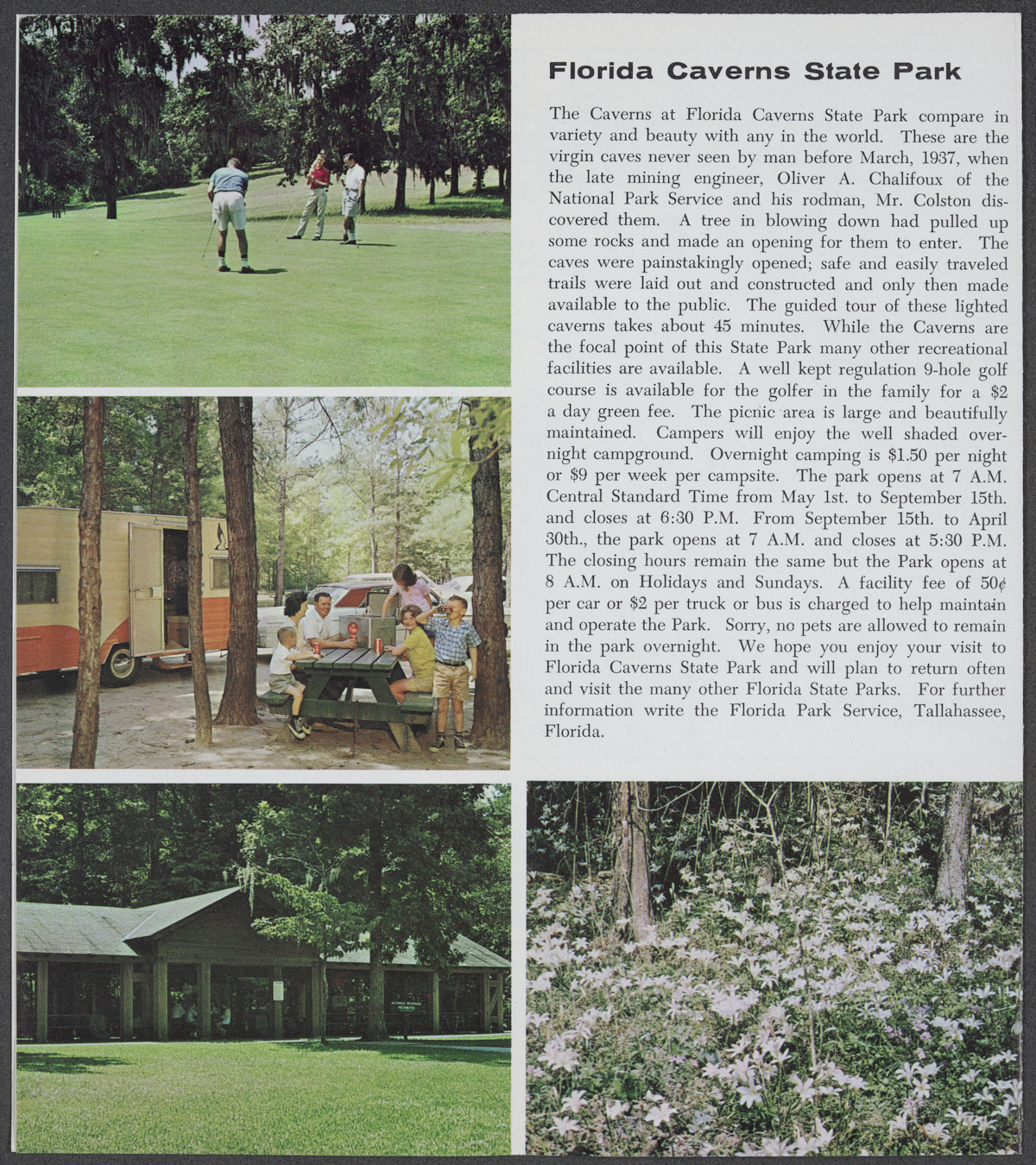 Florida Memory • Promotional brochure for Florida Caverns State Park ...