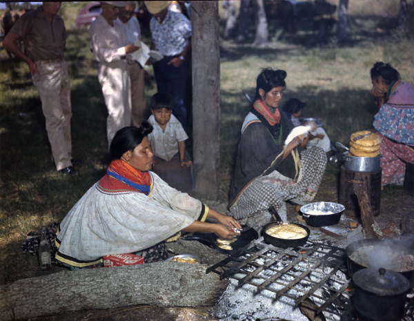 Traditional Foods Of The Seminole Tribe Of Florida Seminole Tribe