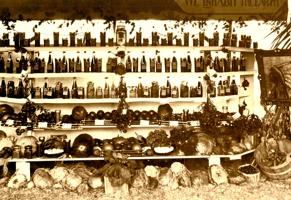 Florida Memory • Close-up view of Koreshan Unity display at the Lee ...