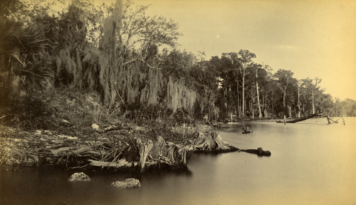 Florida Memory • Saint Johns River at the Racimo Plantation near ...