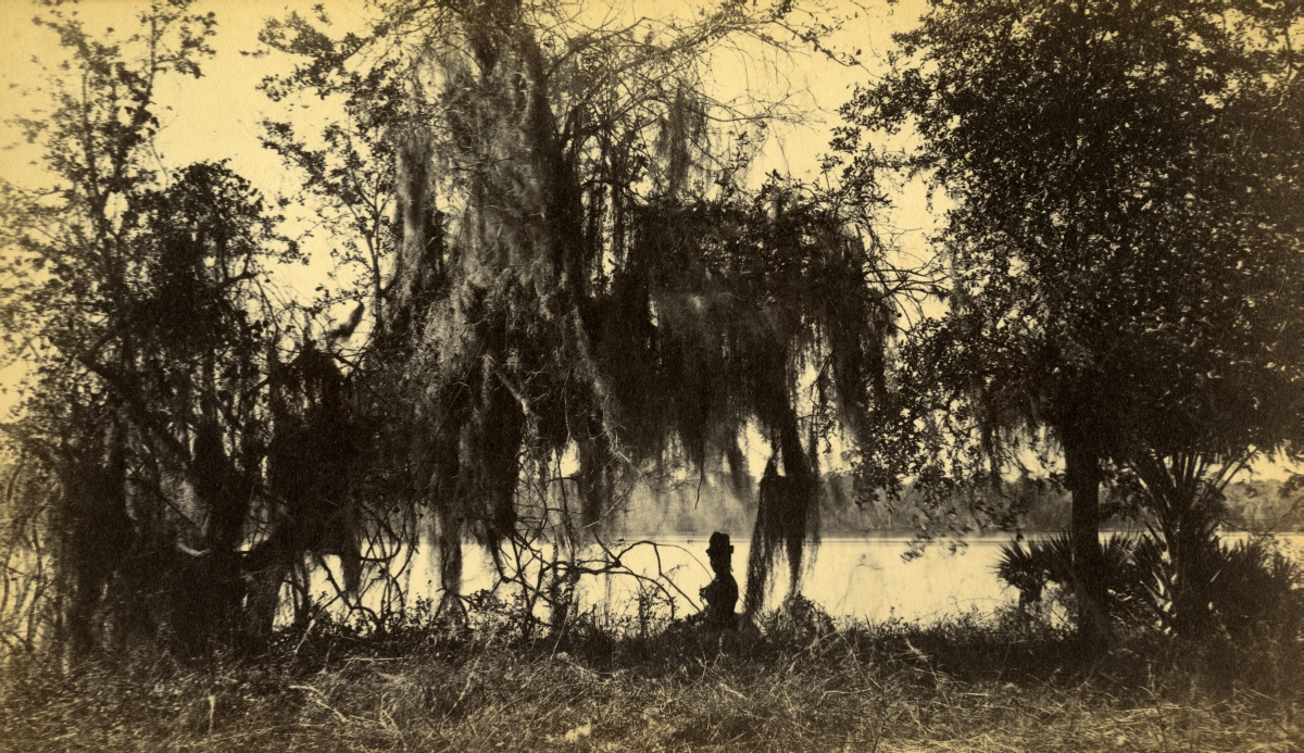 Florida Memory • Silhouette of Eloise Bennett on the bank of the Saint ...