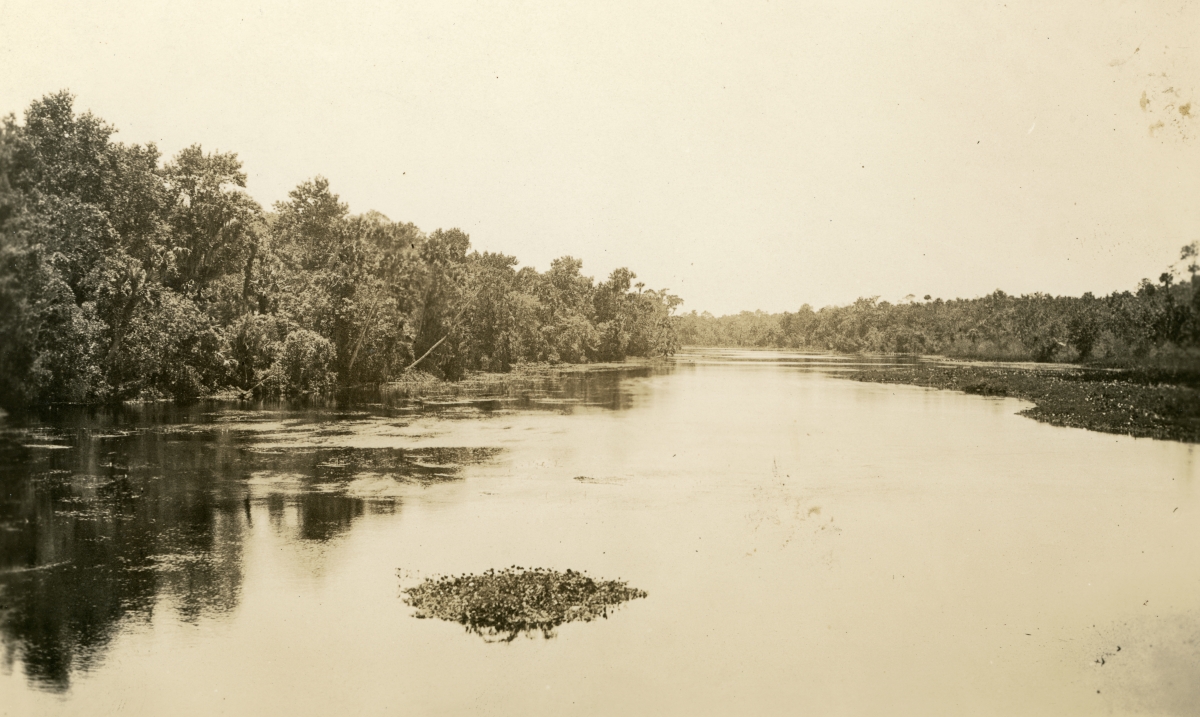 Florida Memory • Scenic view at Alexander Springs in Lake County.