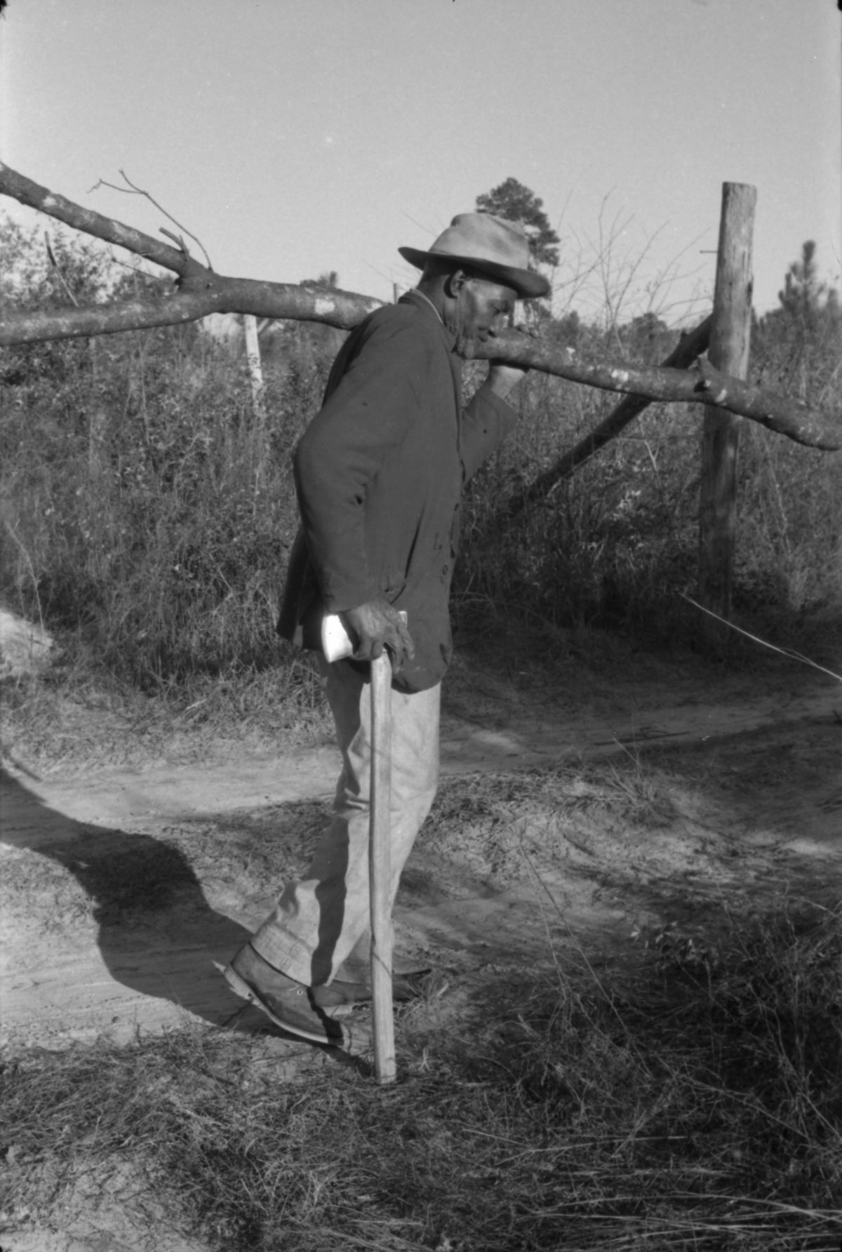 Florida Memory • Jim carrying a tree branch in north central Florida.