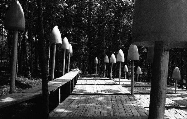 Florida Memory • Ocheesee Gardens bleachers on Lake Ocheesee in Jackson ...