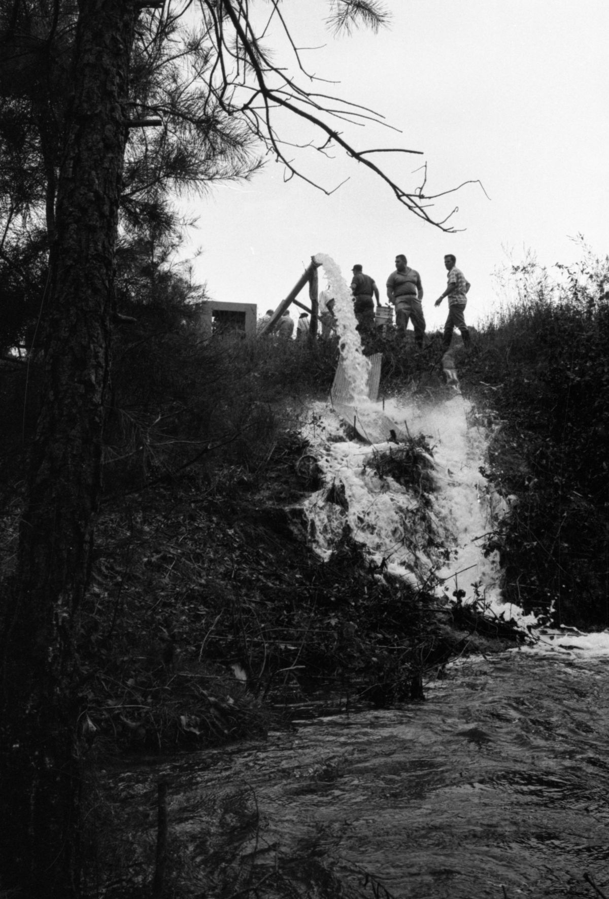Florida Memory • City draining lake near murder scene in Tallahassee to ...