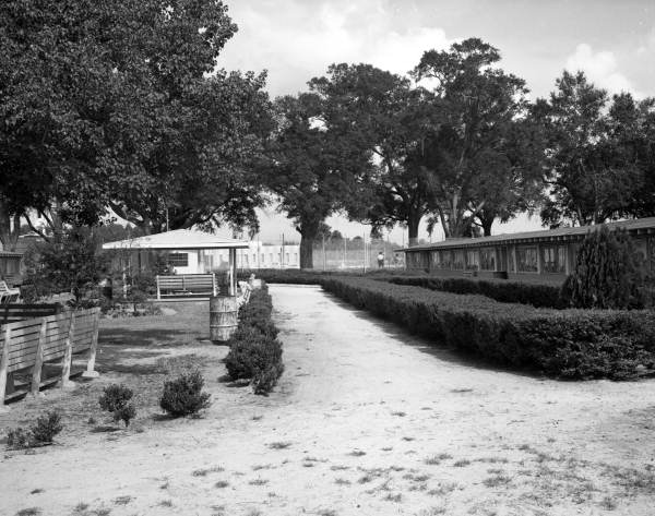 Florida Memory • Pathway through visitor's park at the Union ...