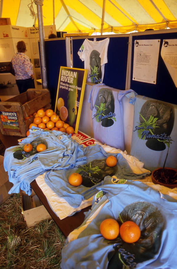 Florida Memory • Exhibition booth display at the SeaFest seafood ...
