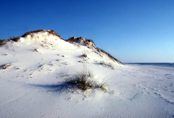 Florida Beach Sand Dunes 440+ Florida Beach Sand Dune Fence Stock