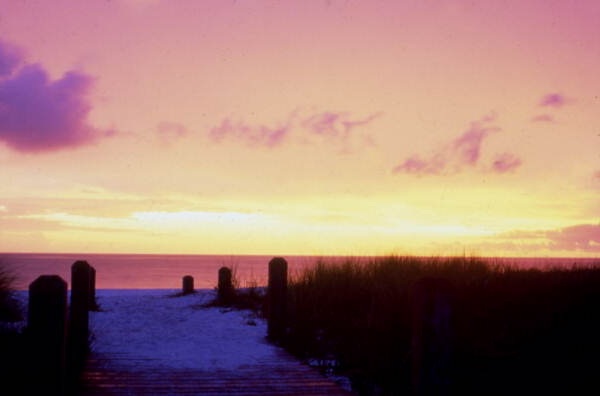 Florida Memory • View showing a sunrise or sunset at Captiva Island ...