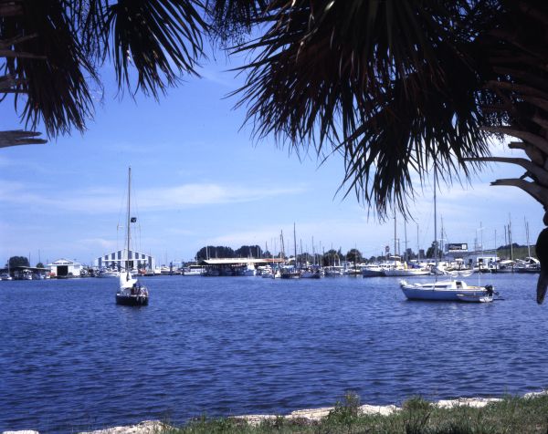 Florida Memory • Yacht basin in Ft. Pierce.