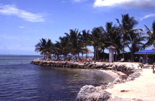 Florida Memory • Palm-lined beach at the Holiday Isles Beach Resort at ...