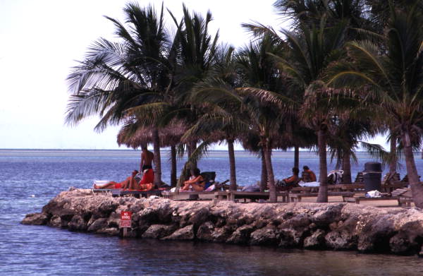 Florida Memory • Visitors at the Holiday Isles Beach Resort at Islamorada.