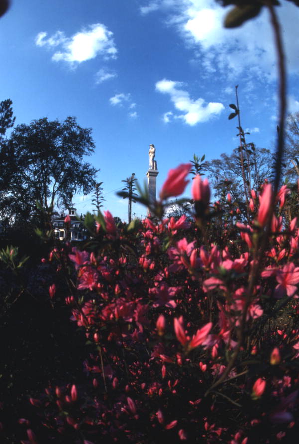 Florida Memory • Distant view of the Confederate Monument in Madison.