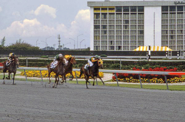 Florida Memory • Horse race at the Calder Race Course in Miami.