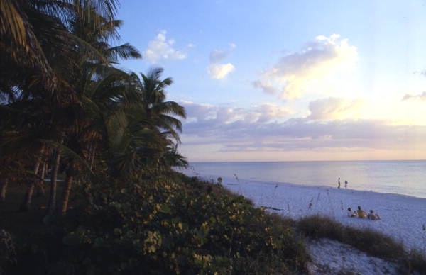 Florida Memory • Beach scene in Naples.