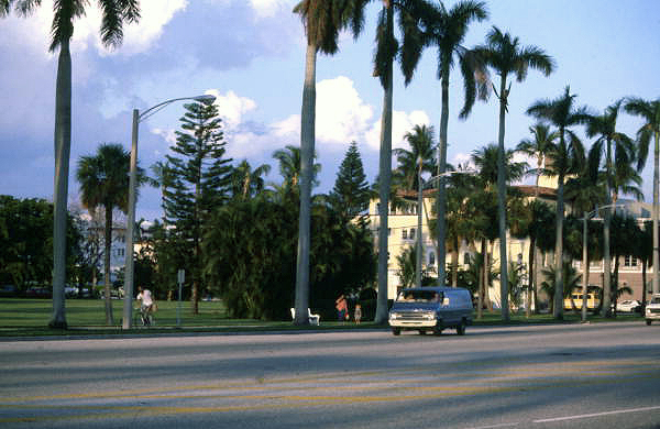 Florida Memory • Street scene in Palm Beach.