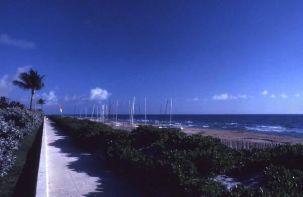 Florida Memory • Beach scene in Palm Beach.