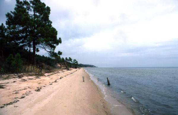 Florida Memory • Close-up view of seashore near the red clay bluffs at ...
