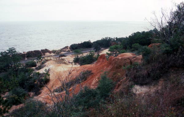 Florida Memory • Looking out toward Escambia Bay from the red clay ...