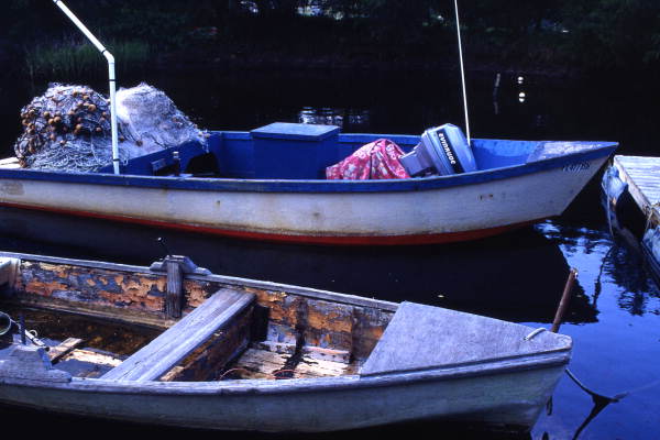 Florida Memory • Small fishing boat in Steinhatchee.