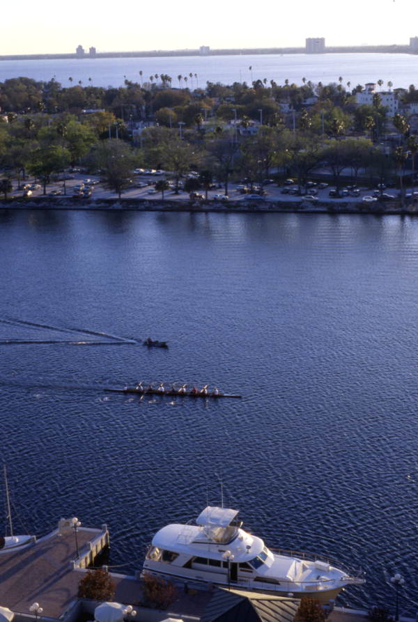 Florida Memory • Bird's eye view showing oarsmen sculling in Seddon ...