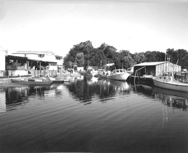 Florida Memory • Crystal River boating marina