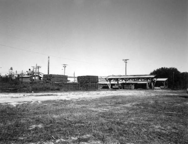 Florida Memory • View of sawmill and lumber yard - Perry, Florida.