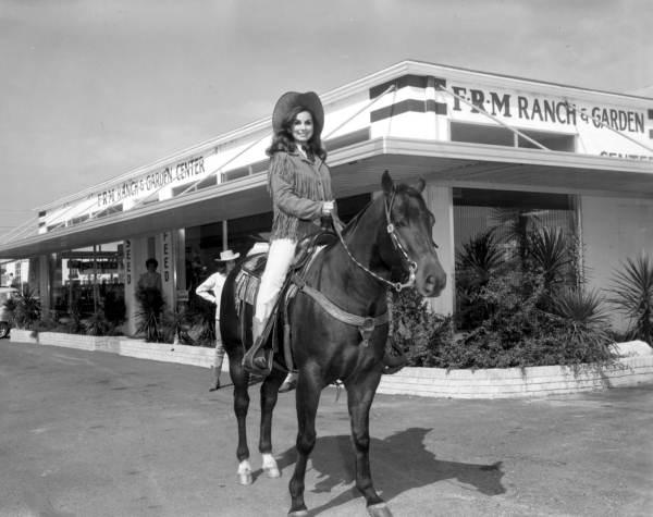 Florida Memory • Miss USA 1965, Sue Downey, on a horse in front of FRM ...