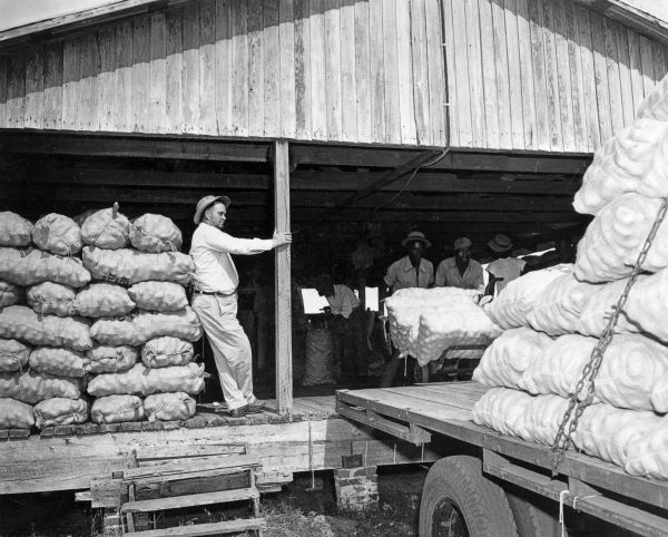 Florida Memory • John Smith supervises workers loading potatoes ...