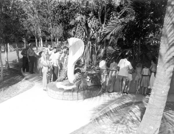 Florida Memory • Visitors next to a cobra sculpture on the grounds of ...