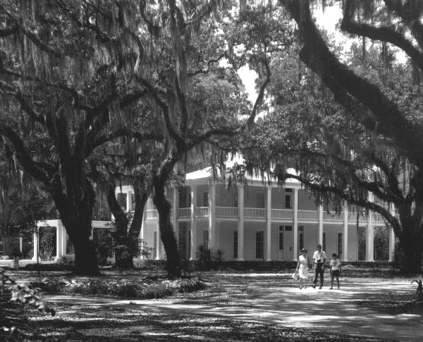 Florida Memory • View looking towards mansion at the Eden Gardens State ...