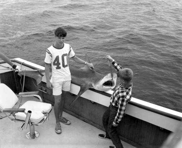 Florida Memory • Two young boys hold a freshly caught shark in the boat ...