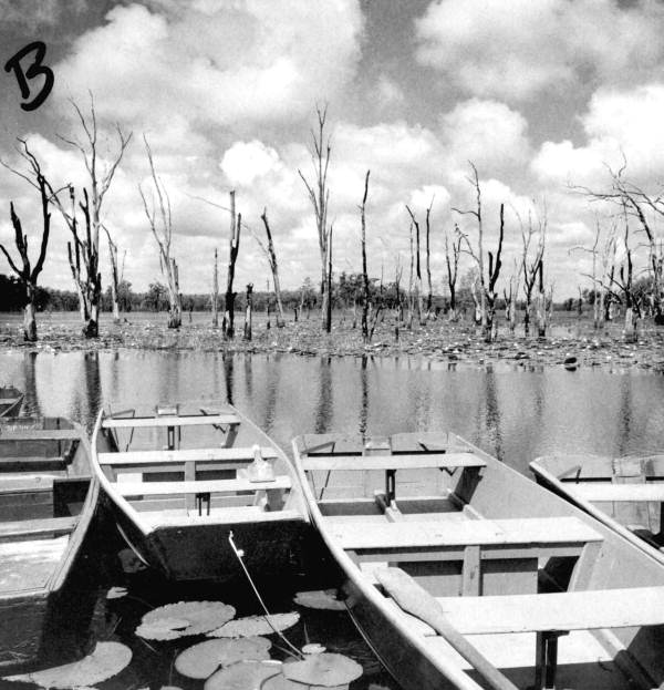 Florida Memory • Boats at Lake Ocheesee - Sneads, Florida