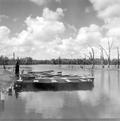 Florida Memory • Boats on Ocheesee Lake - Sneads, Florida.