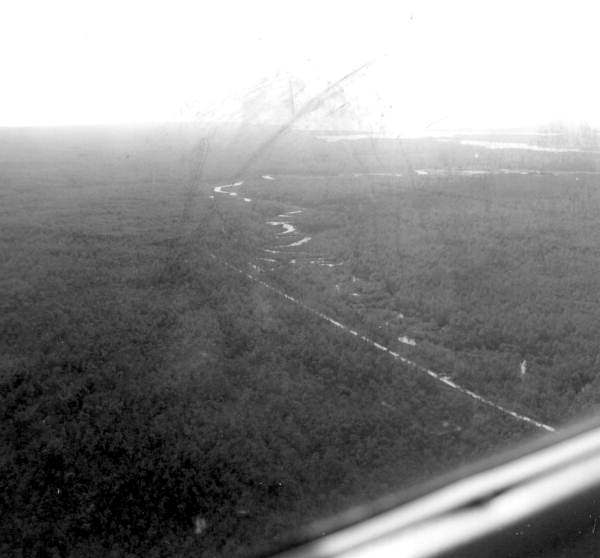 Florida Memory • Aerial view of the River Styx - Liberty County, Florida