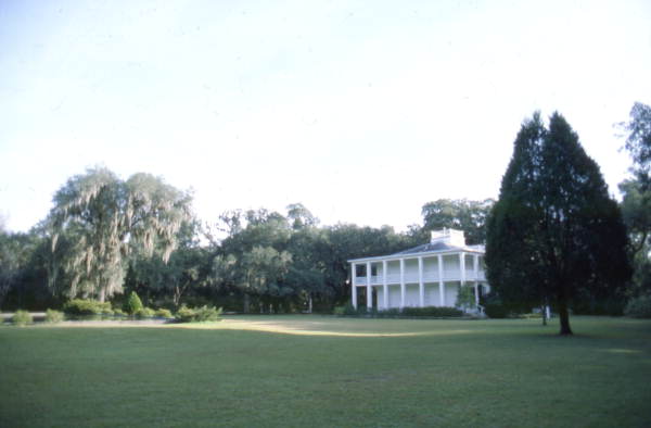 Florida Memory • View looking towards the mansion at Eden Gardens State ...