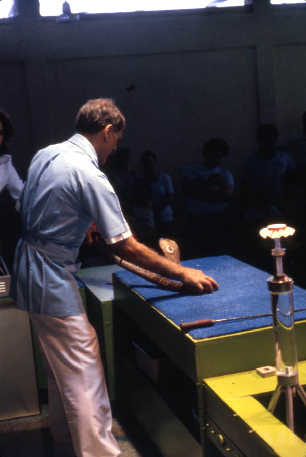 Florida Memory • Bill Haast performing with cobra during a snake show ...