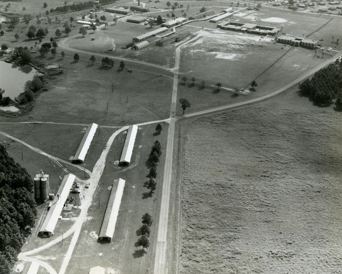 Florida Memory • Aerial view looking east toward the Apalachee ...