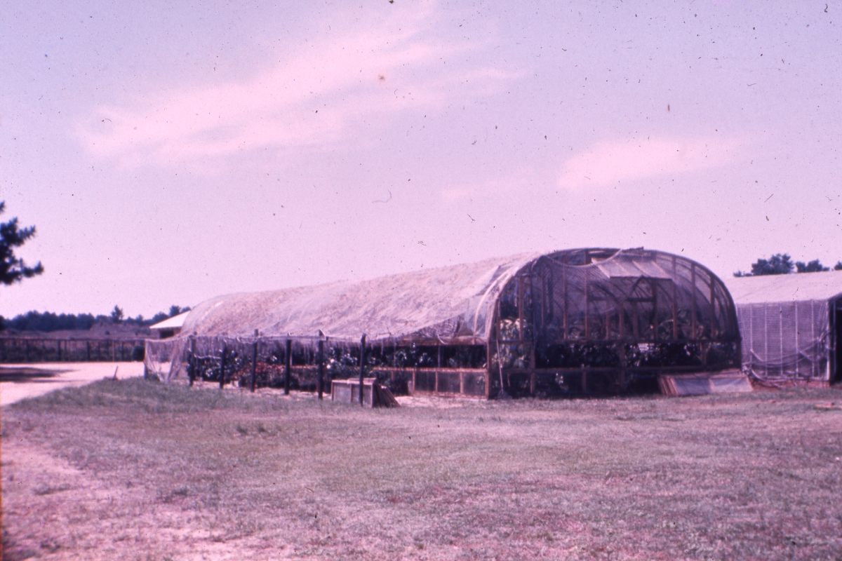 Florida Memory • Greenhouse at the Apalachee Correctional Institution ...
