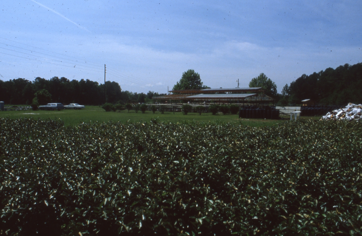 Florida Memory • Building at the Apalachee Correctional Institution ...