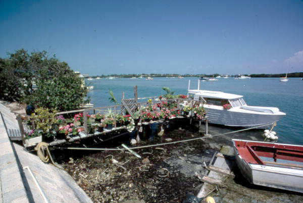 Florida Memory • Boat at "Houseboat Row" off South Roosevelt Boulevard ...