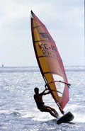 Florida Memory • Windsurfer off Smathers Beach at the end of South ...