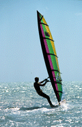 Florida Memory • Windsurfer off Smathers Beach at the end of South ...
