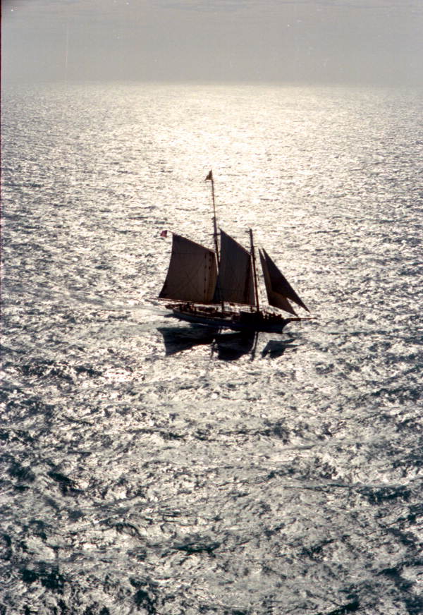 Florida Memory • The schooner "Western Union" underway returning to Key ...