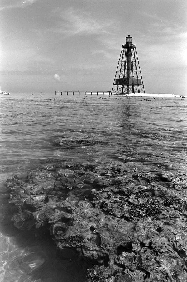 Florida Memory • Sand Key Lighthouse located 9 miles southwest of Key ...