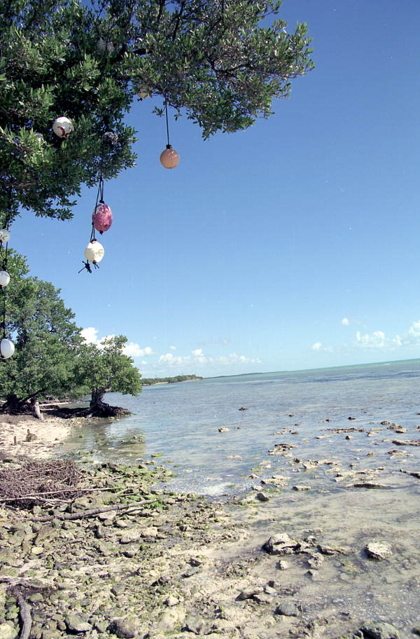 Florida Memory • Part 2 of panoramic view showing section of Boca Chica ...