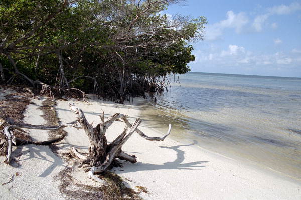 Florida Memory • Beach scene on the south side of the Marquesas Keys ...