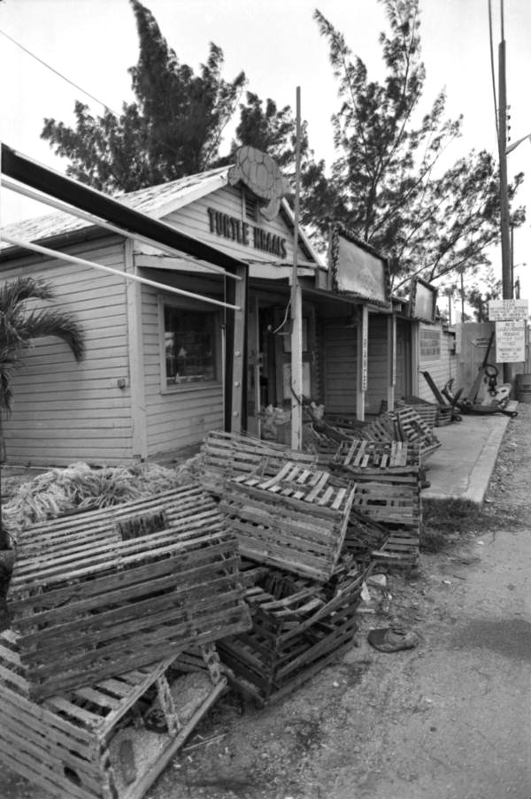 Florida Memory • View showing the front of the Turtle Kraals store ...