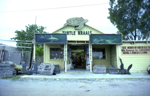 Florida Memory • Front of the Turtle Kraals store - Key West, Florida.